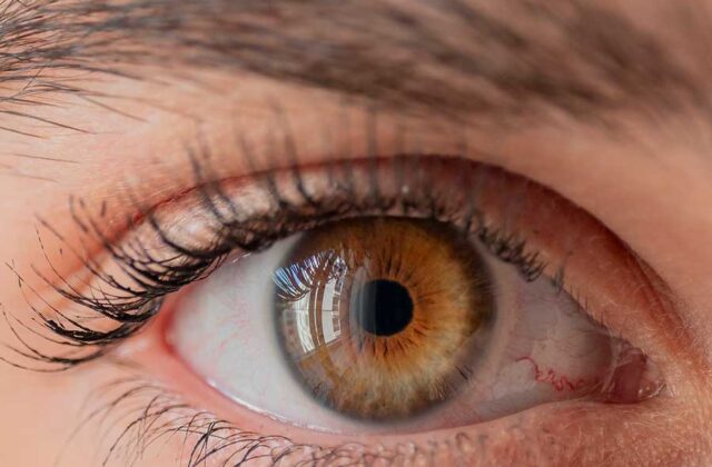 The Amazing Eye: The Mechanics Of Vision