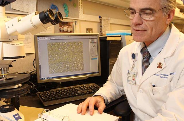 Restoring Vision: Retinal Nerve Cell Regeneration - Glaucoma Research ...